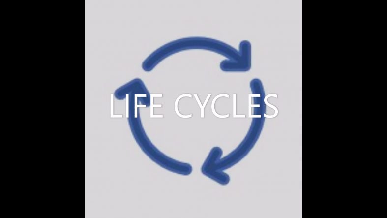 LIFE CYCLES…….don’t miss what they are teaching you! | Rod Denton