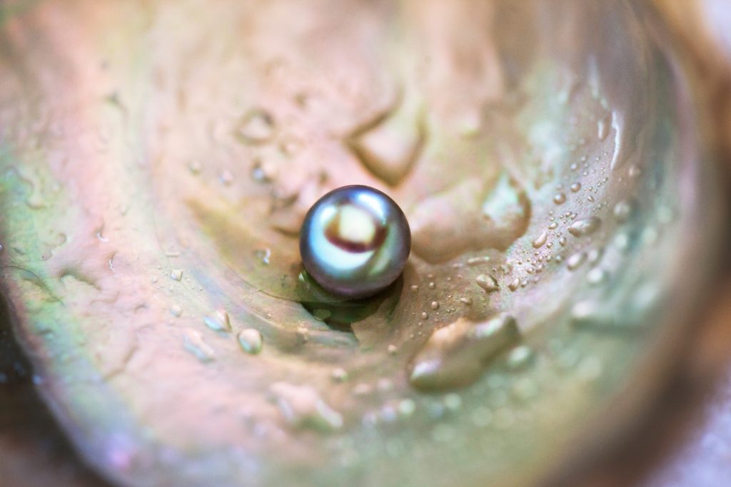 CONVERGENCE…….The Pearl of Great Price | Rod Denton